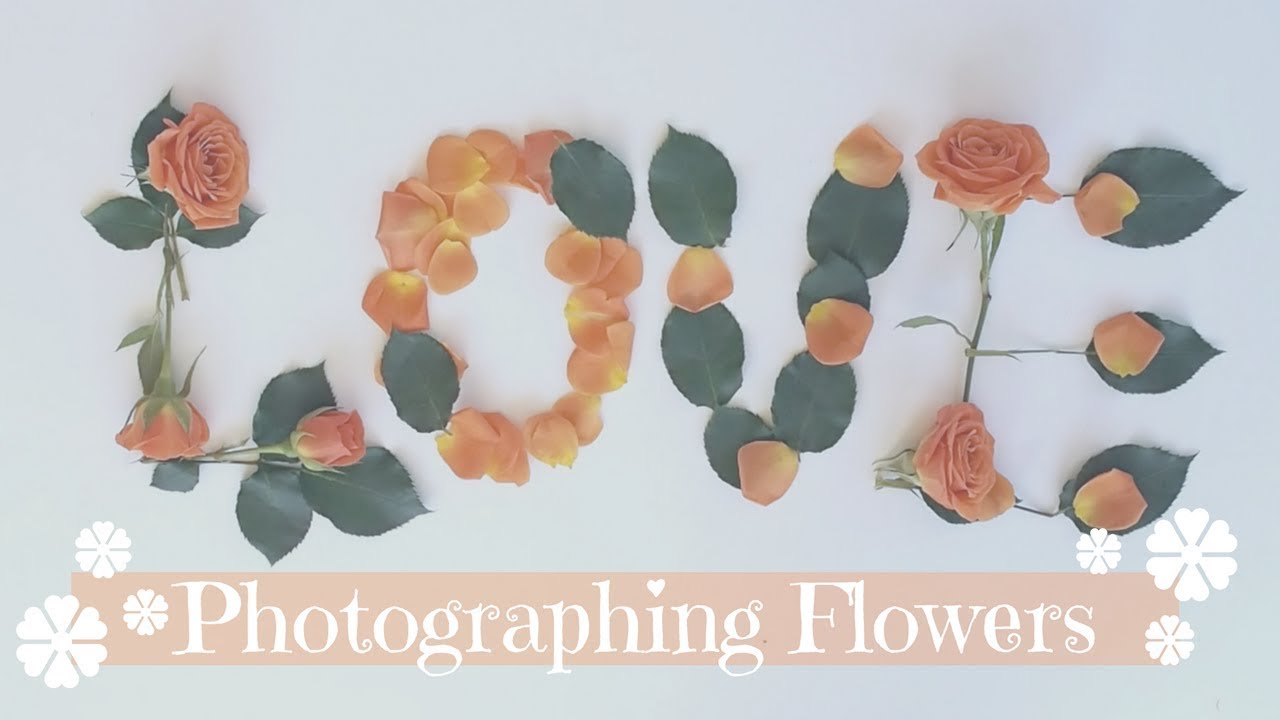 Flat Lay Photography | Flowers - YouTube