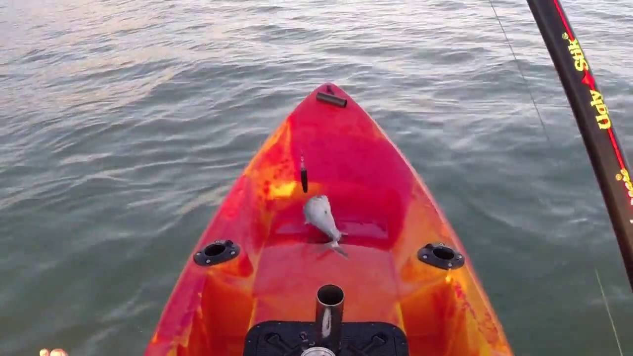 Whipping Omilu Papio WITH HOME MADE LURES from Kayak - YouTube