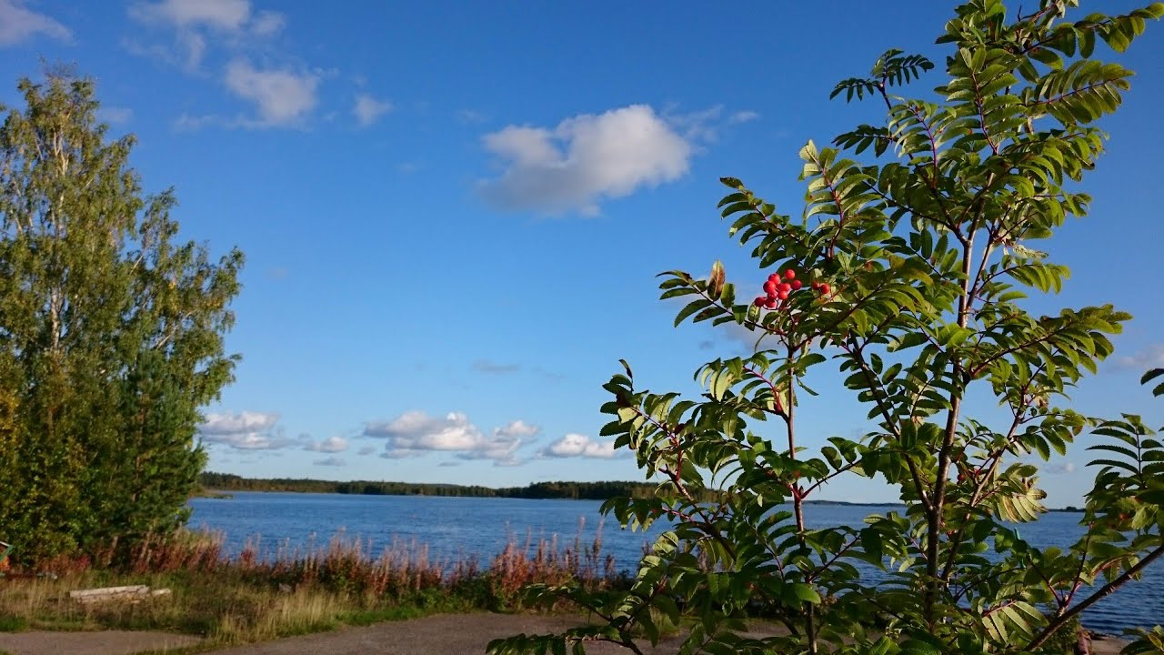 14 Sept at Kalix 🌅 Töre Hamn 🌤 Råneå 🌃 // Schiller, Ile Aye - YouTube