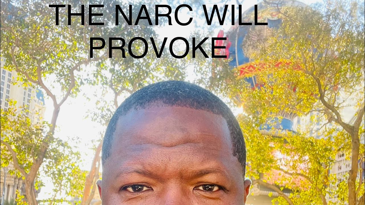 THE NARC PROVOKES A REACTION, SO THEY CAN USE YOUR REACTION AS A ...