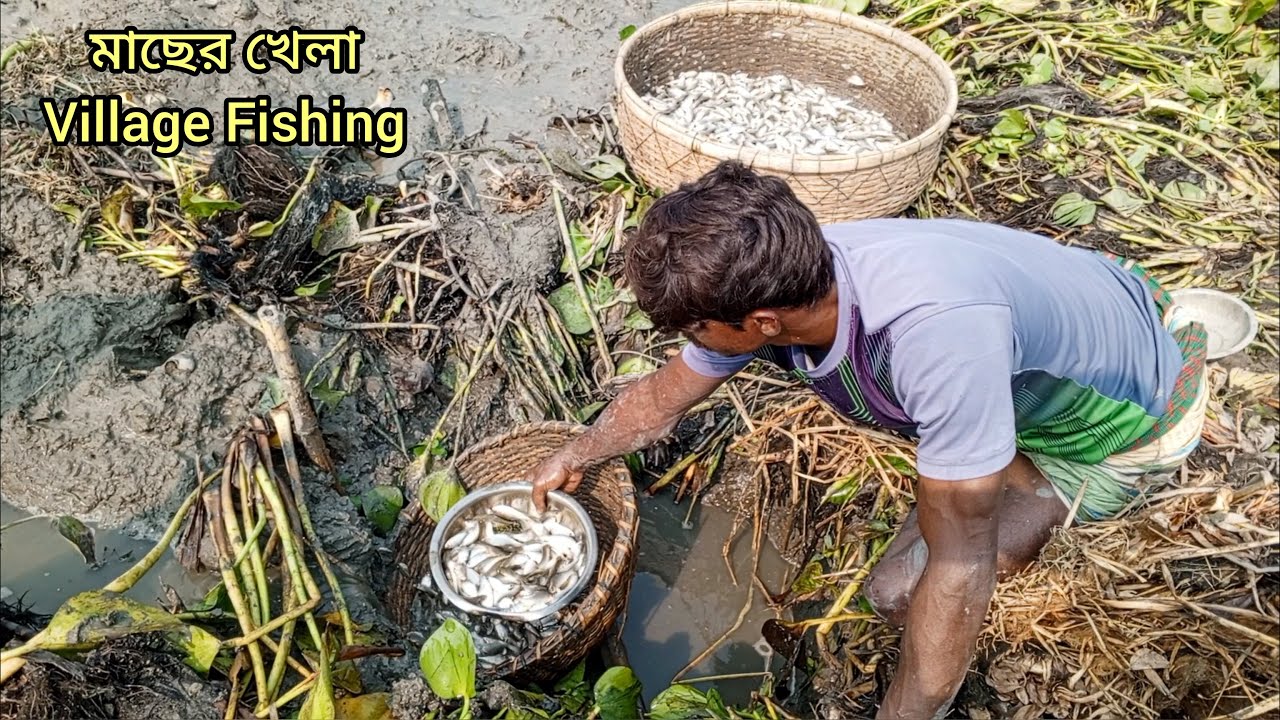 fishing.most amazing & unbelievable fishing technique.traditional fish ...