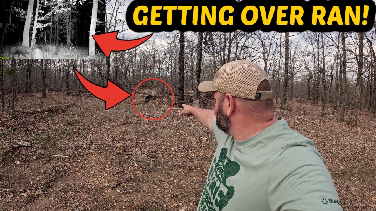 This Is Getting Out Of Control! - YouTube