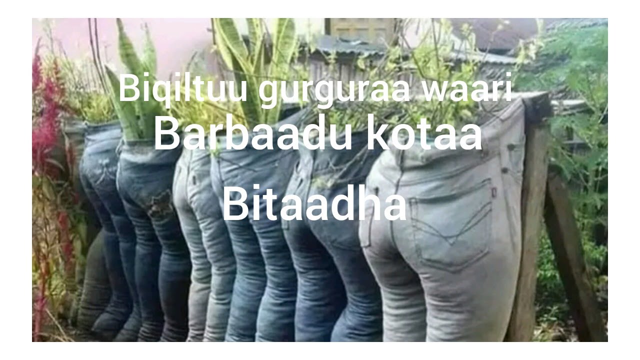 Biqiltuu gurguraa waari barbaadani kotaa bitaadha - YouTube