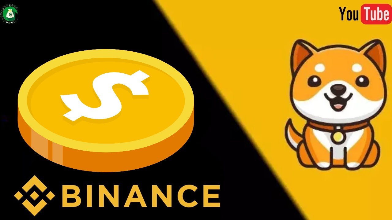 C'est possible maintenant de voir BABY DOGE COIN sur Binance - YouTube