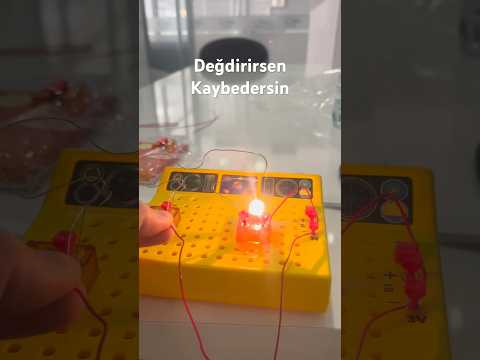 Elektrik devresi oyunu #deneyzamanı #fen #fenbilimleri #fendeney