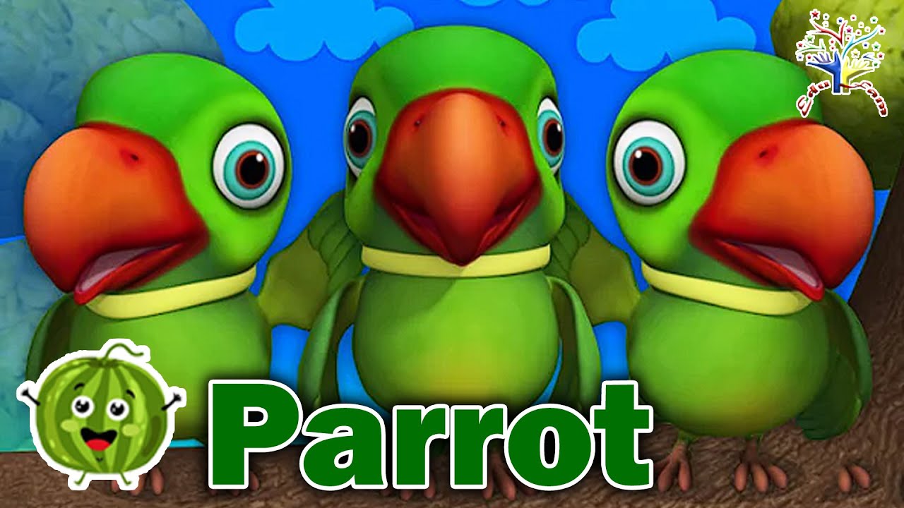 The Animal Sounds Song || Parrot || Kids Nursery Rhymes | Best Learning ...