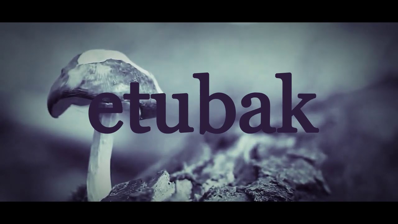 etubak - mmf - YouTube Music
