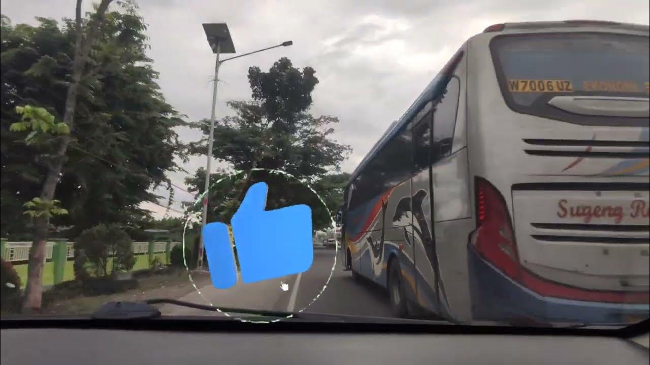 keseruan di jalan raya Ngawi-Magetan bersama BUS SUGENG RAHAYU lumba-lumba - YouTube