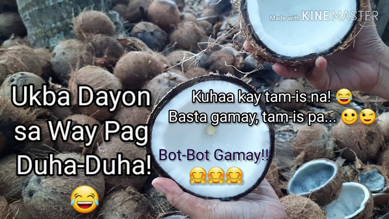 How to open Coconut Shell( sakto bah?) / Bisaya Version - YouTube