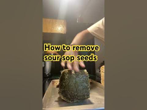 How to remove sour sop seeds! #cancerfightingfood #soursop #viral #shorts #raw #fruit #love ...