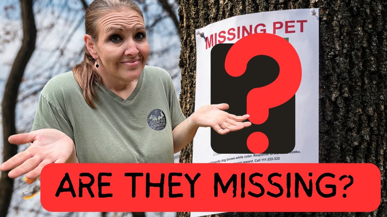 THEY'RE ALL GONE! (Who is missing and why?) - YouTube
