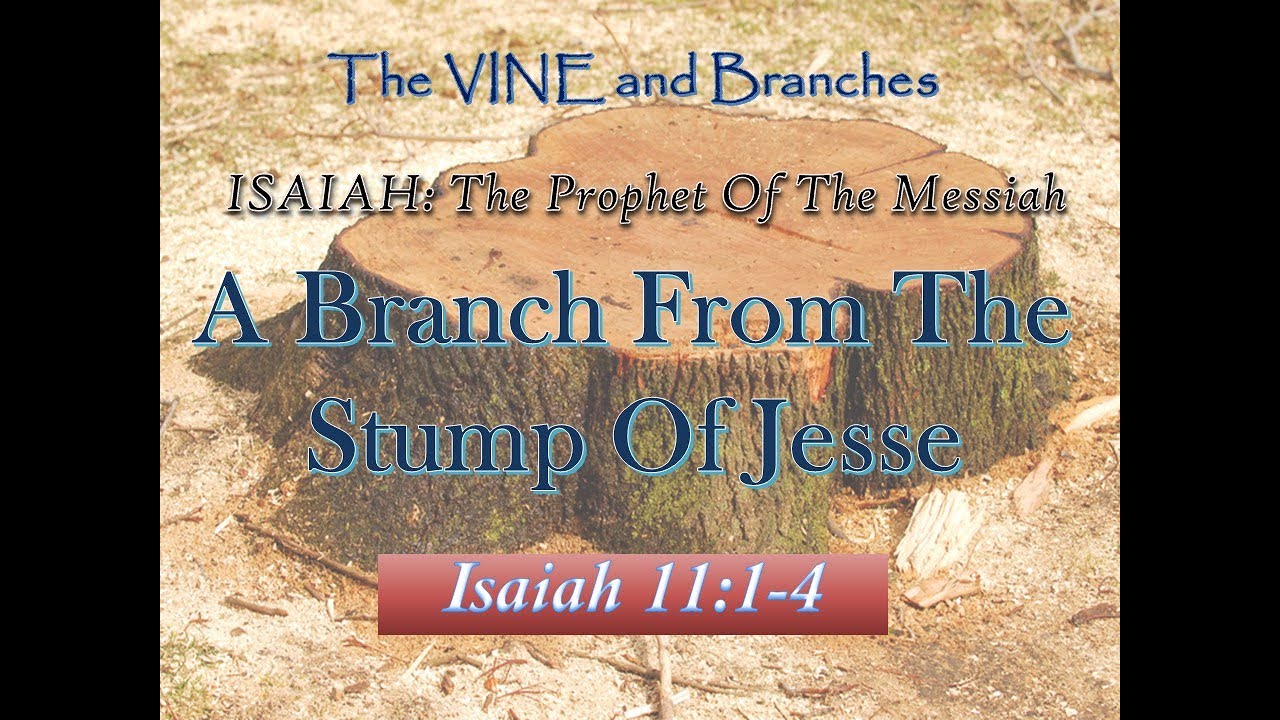 A Branch From The Stump Of Jesse_The VINE and Branches - YouTube