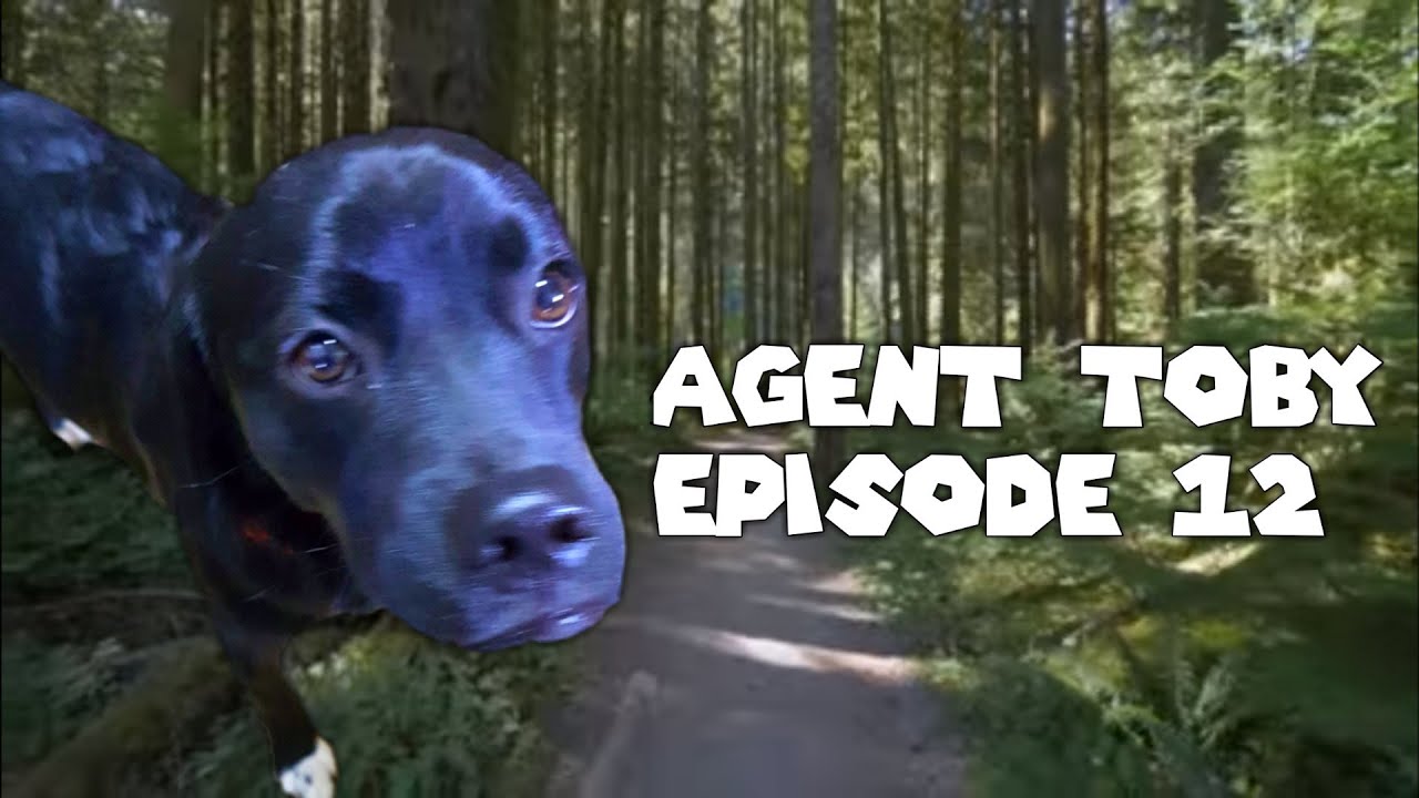 Agent Toby episode 12 season 1 - YouTube