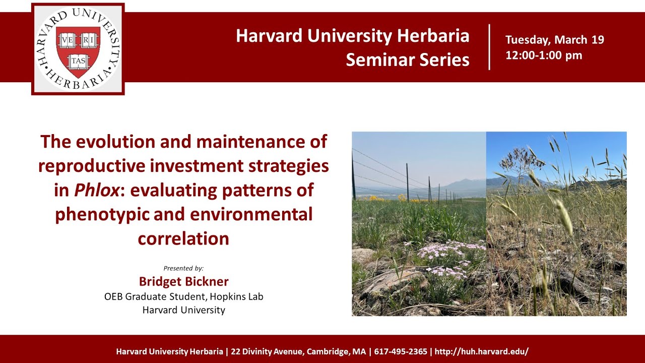 2024 0319 Bridget Bickner - The evolution & maintenance of reproductive ...