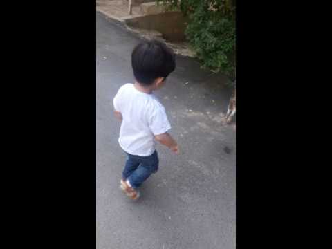 Piwik ve CAVO😂😂😂