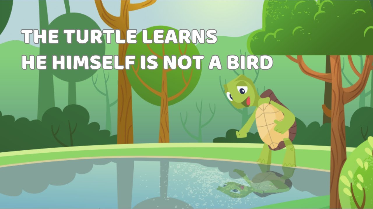 Turtle learns himself is not a bird - Self awareness skill - YouTube