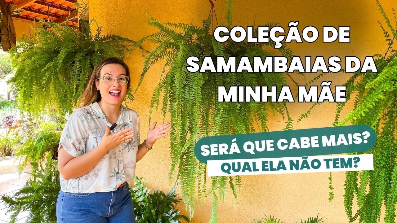 Descubra a COLEÇÂO de SAMAMBAIAS mais encantadora que você já viu - YouTube