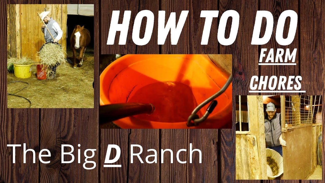 How To Do Farm Chores || Adventures at The Big D Ranch - YouTube