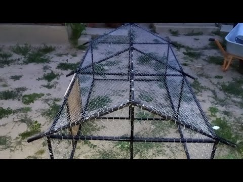 Construim Cotet de Pui si Pasari ( investitie minima) cu Ionel si Ionel ...