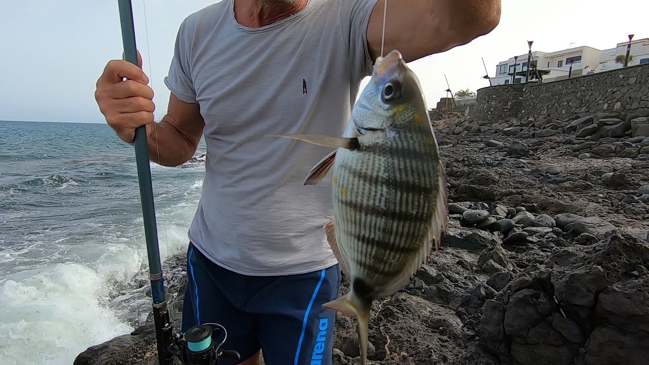 PESCARE IN MARE: Pesca al Sarago e alla Salpa - YouTube