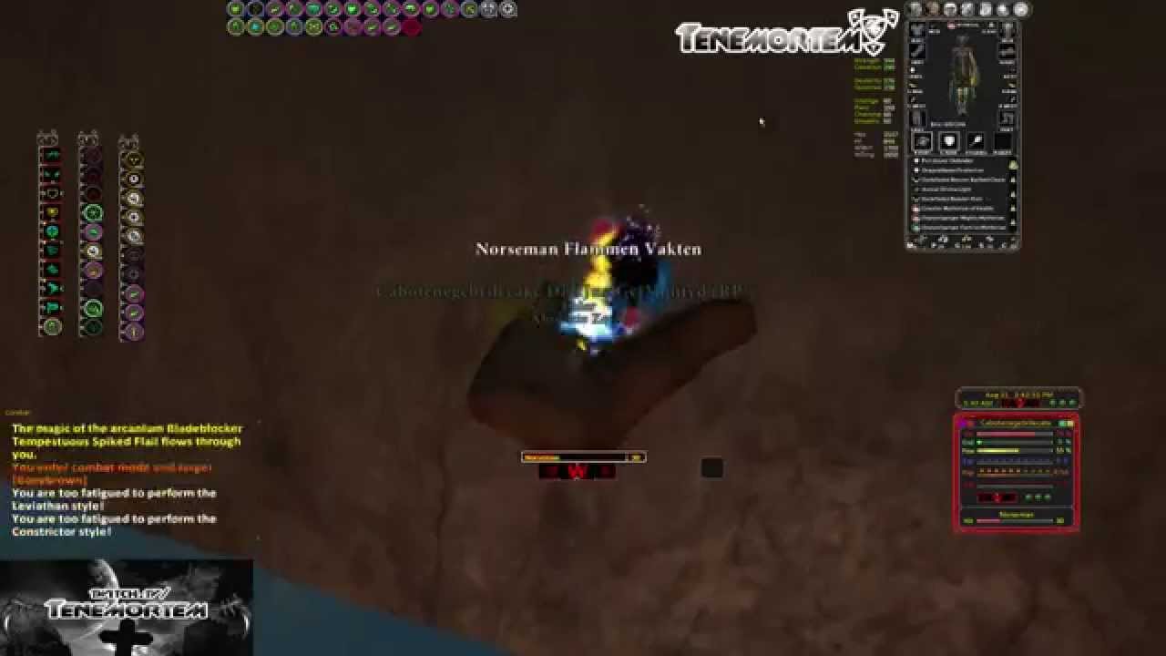 Dark Age of Camelot Tenemortem VS Boxybrown Reaver Mauler - YouTube