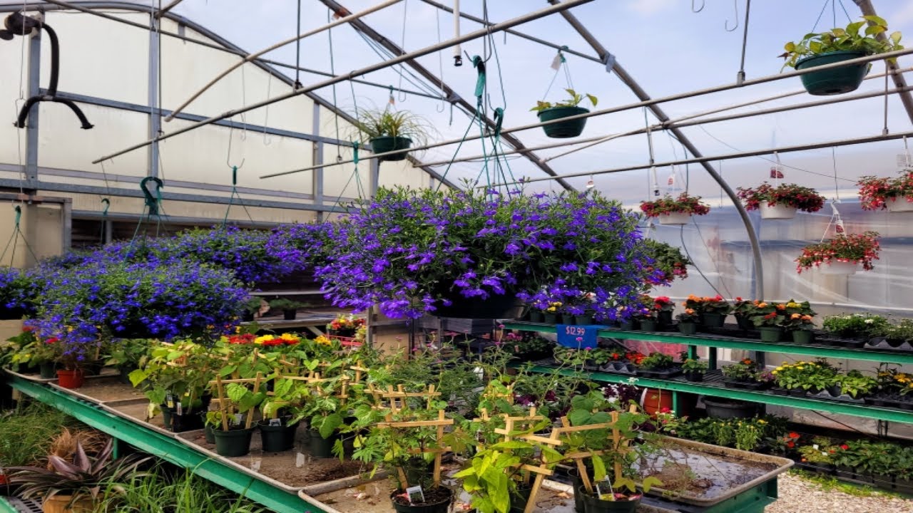 Uncovering The Garden Secrets of Lanoka Farm - Our #Vlog Adventure You ...