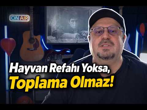 Hayvan Refahı Yoksa, Toplama Olmaz!