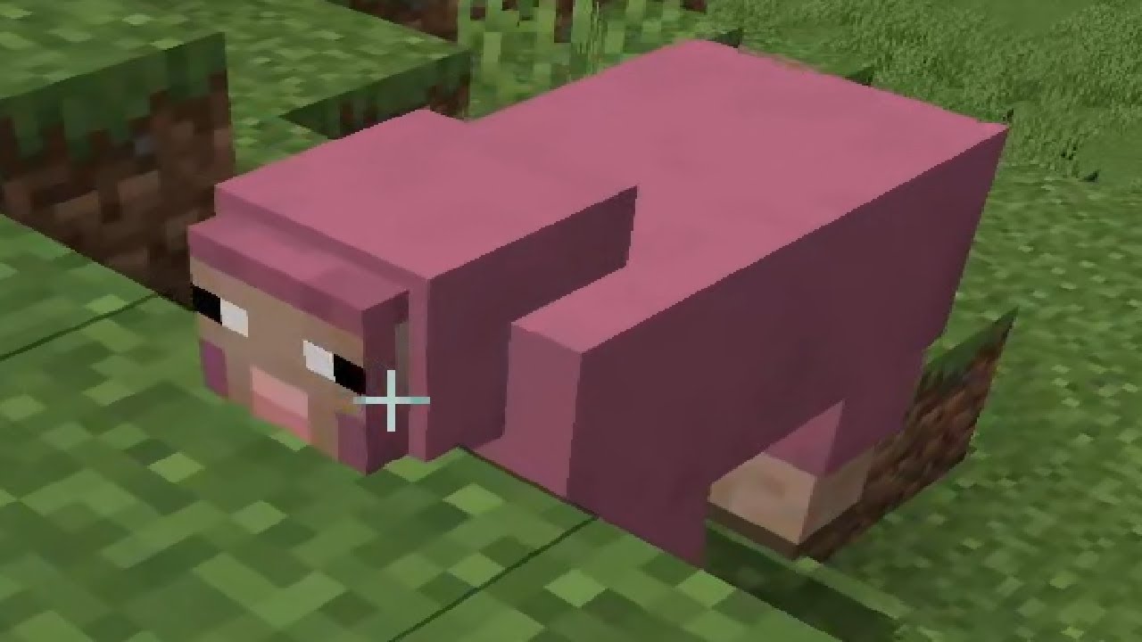WOW A Pink Sheep, am I the luckiest minecrafter ? 1 in 600 chance wow ...