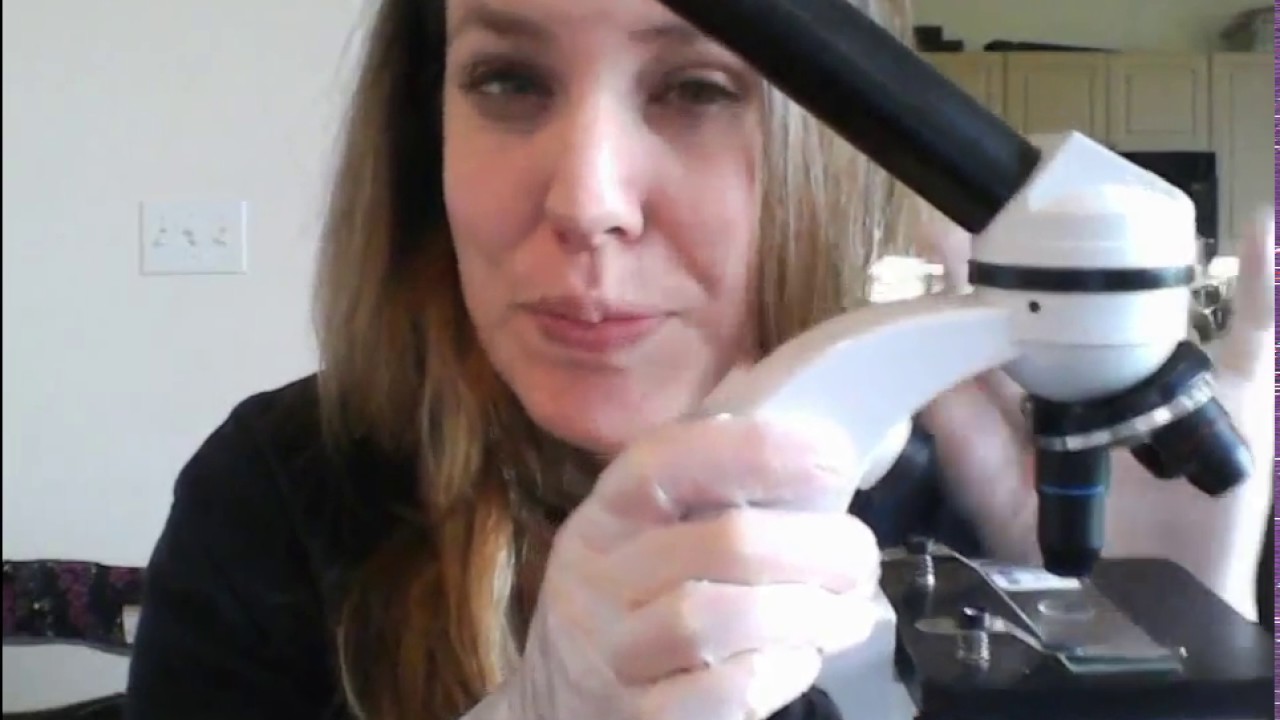 Copy of Lab Activity 2 Pre lab Lecture Use of the Microscope - YouTube