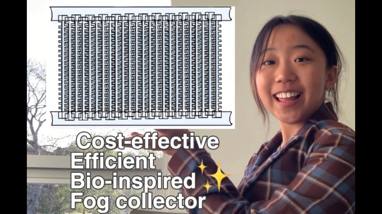 MATS048 An Efficient Bio-Inspired Multilayer Fog Collector - YouTube
