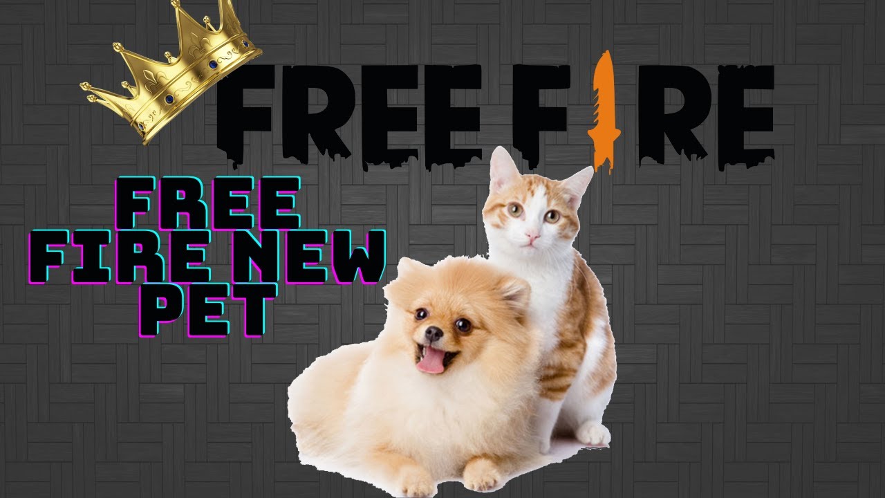 FREE FIRE ME SABSE RARE PET KONSA HAI OR KYU RARE HAIYOU DON T KNOW ...