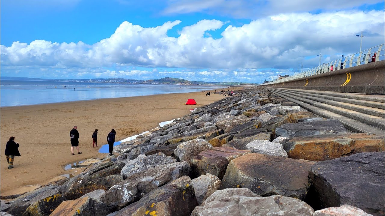 Can You Take Dogs On Aberavon Beach