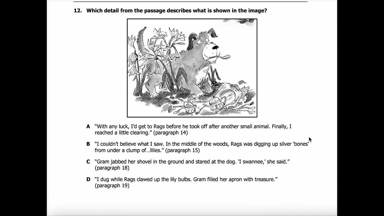 Unit 10 Part 1 Assessment - YouTube