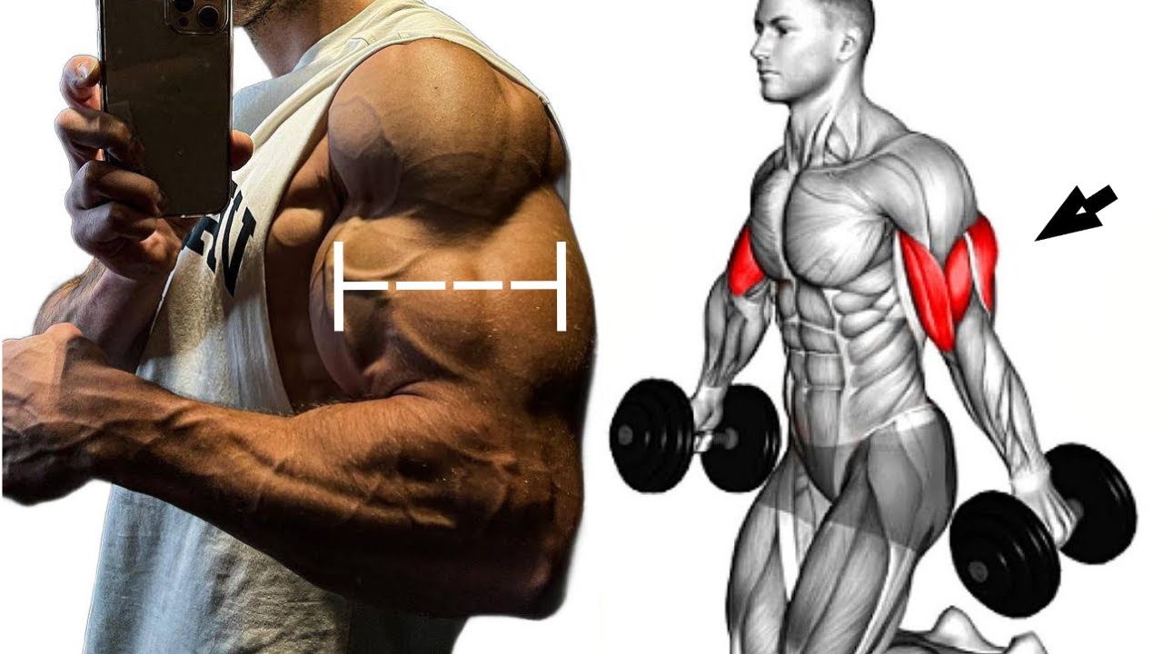 8 Brutal Exercises to Build ARMS SIZE BIGGER | Exploded Arms - YouTube