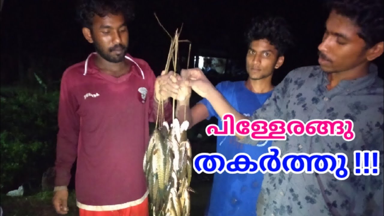 varal fishing.snakehead fishing.catching varal/bral /snake head.nadan ...