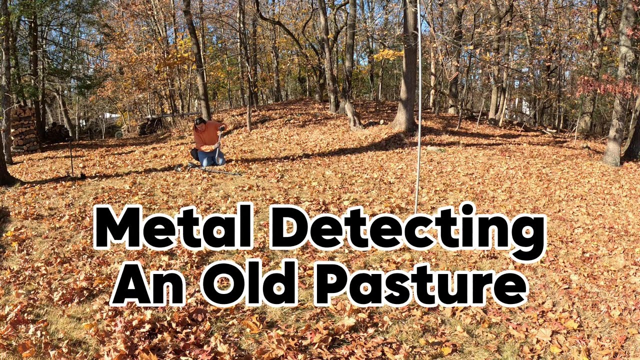 Another Great Day Saving History! - YouTube