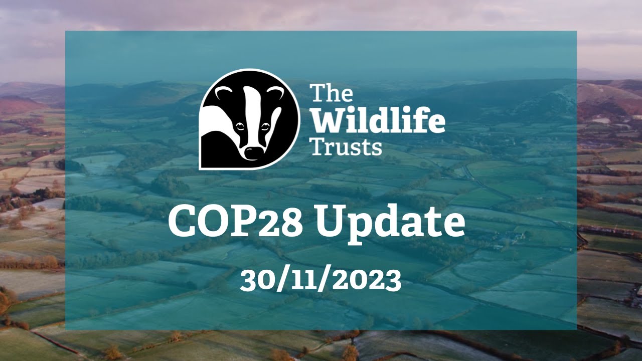 The Wildlife Trusts #COP28 Update 30/11/2023 - YouTube