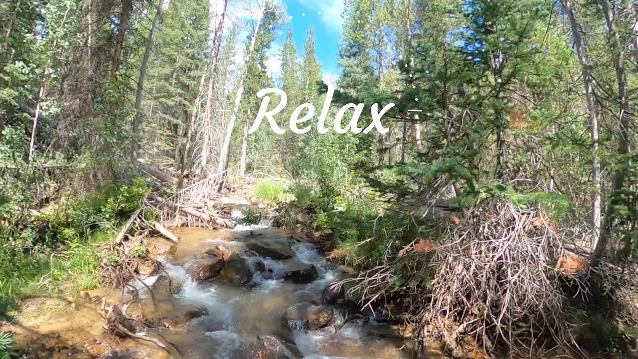 Calming Uintah Mountain Stream - Prospector's Dream #1 - YouTube