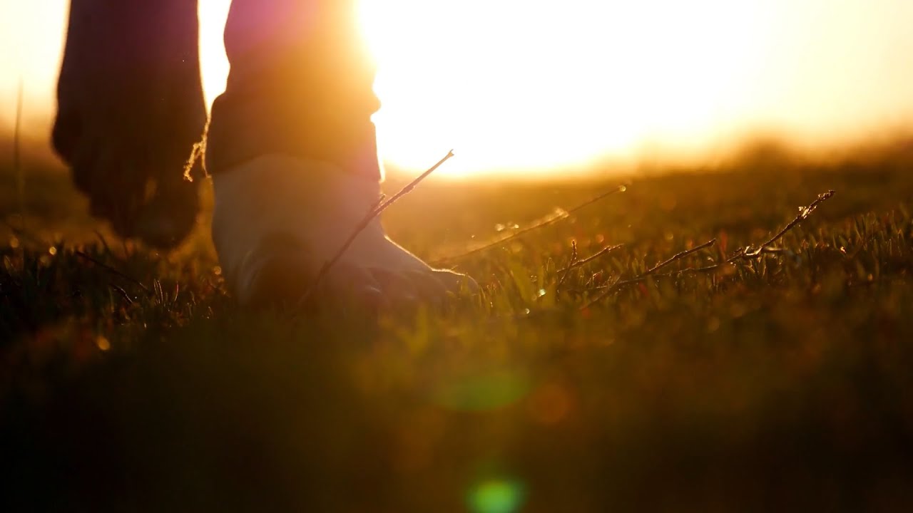 Seeds of Joy - The Barefoot Messenger - YouTube