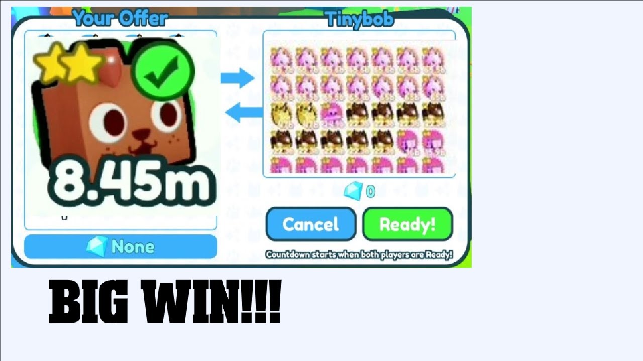 what is a pog dog worth? - YouTube