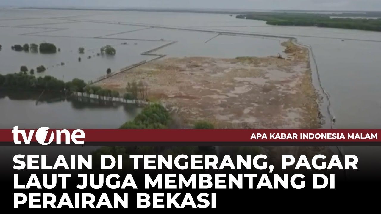 Pagar Laut di Perairan Bekasi, Nelayan Mengeluh Tangkapan Ikan Menurun ...