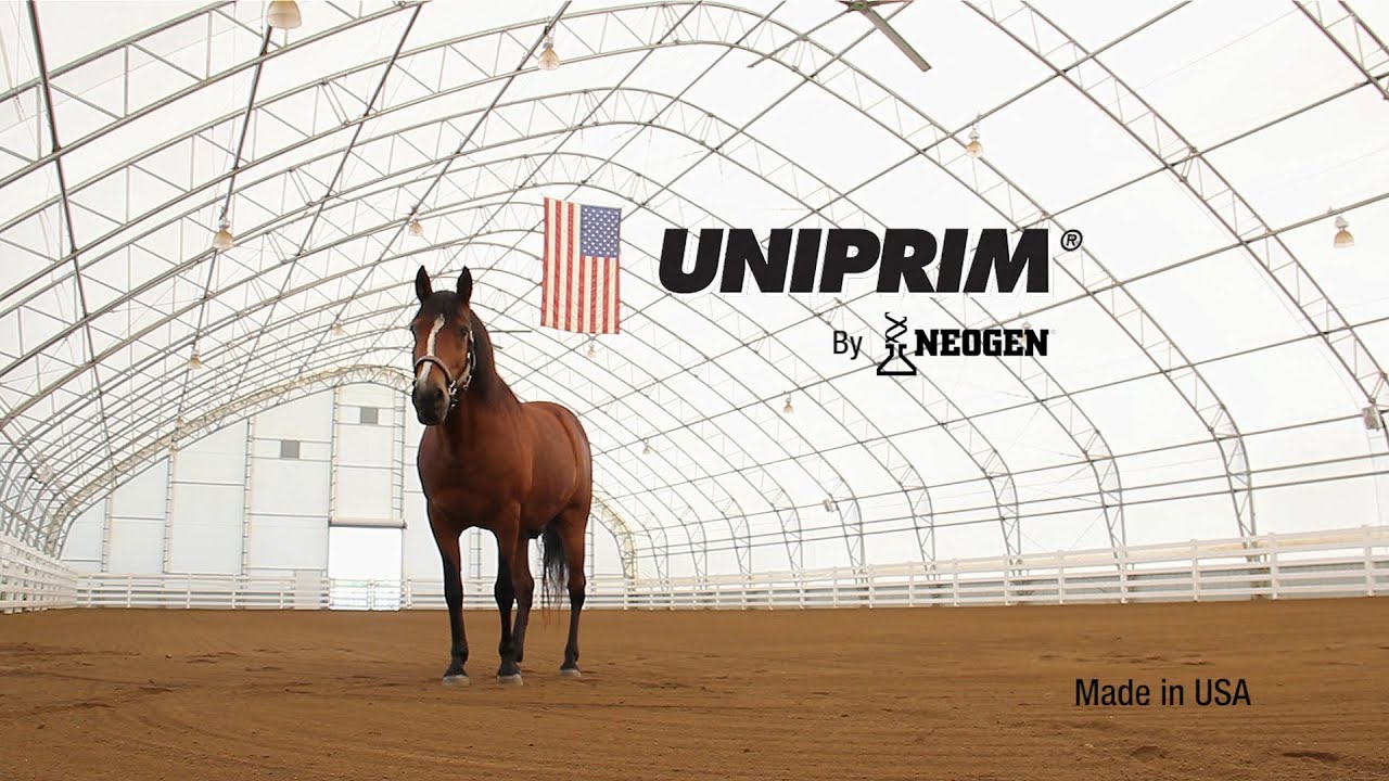 Horse Health Is Your Top Priority | Uniprim® - YouTube