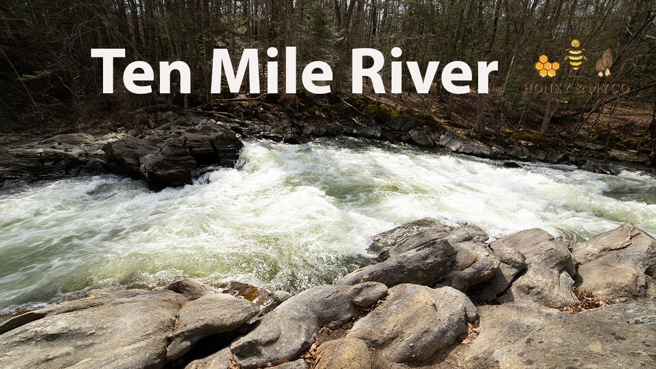 Appalachian trail hiking ten mile river Ct. - YouTube