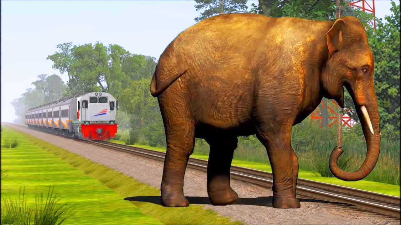 Elephant Attack High Speed Train to stop Elephant vs Train - YouTube
