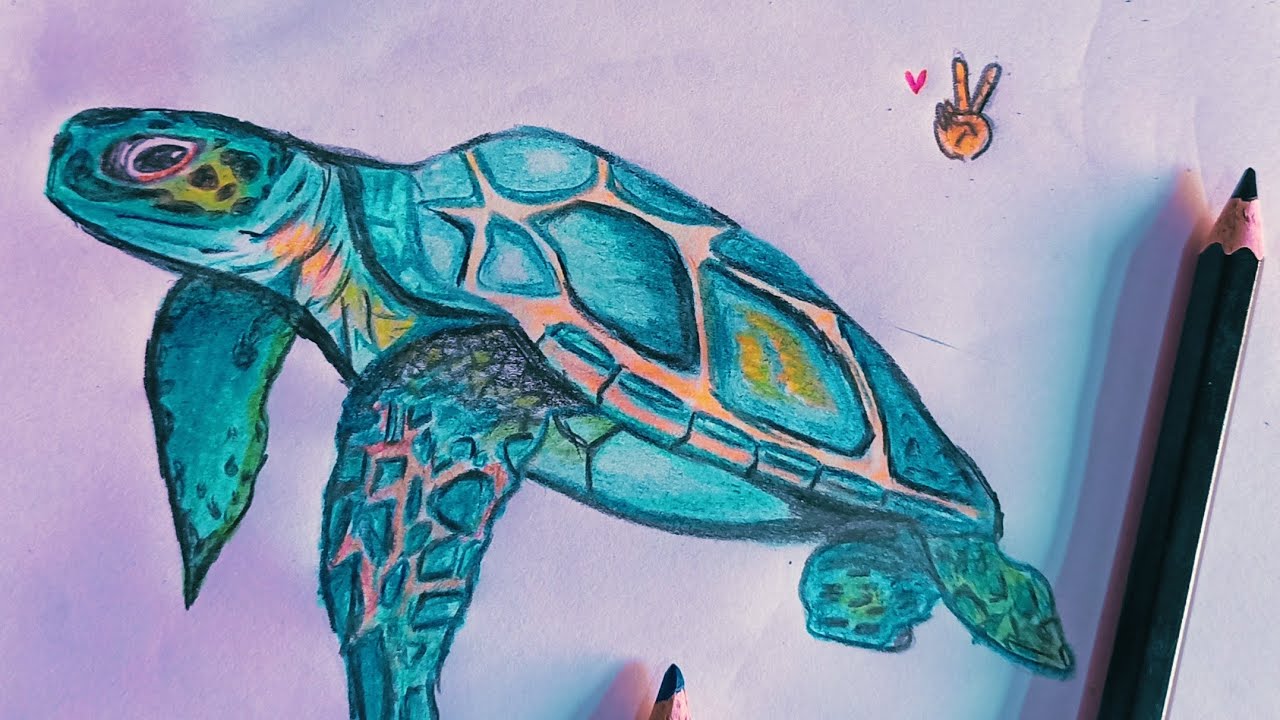 Turtle realistic drawing🐢|| How to draw a realistic turtle || #turtle ...