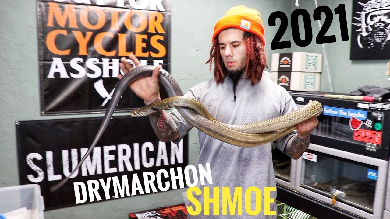 DANCING WITH CRIBOS | DRYMARCHON - YouTube