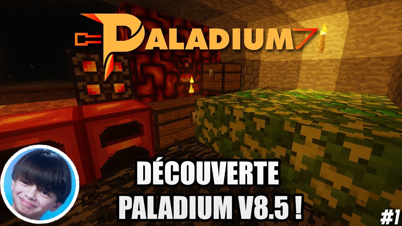 📍 DÉCOUVERTE DE PALADIUM ! DÉBUT DES MÉTIERS, HAMMER, FARM ...