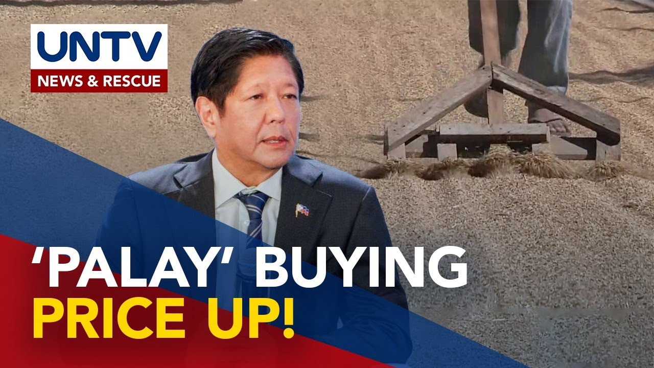 NFA council sets new buying price of palay to improve farmers’ income ...