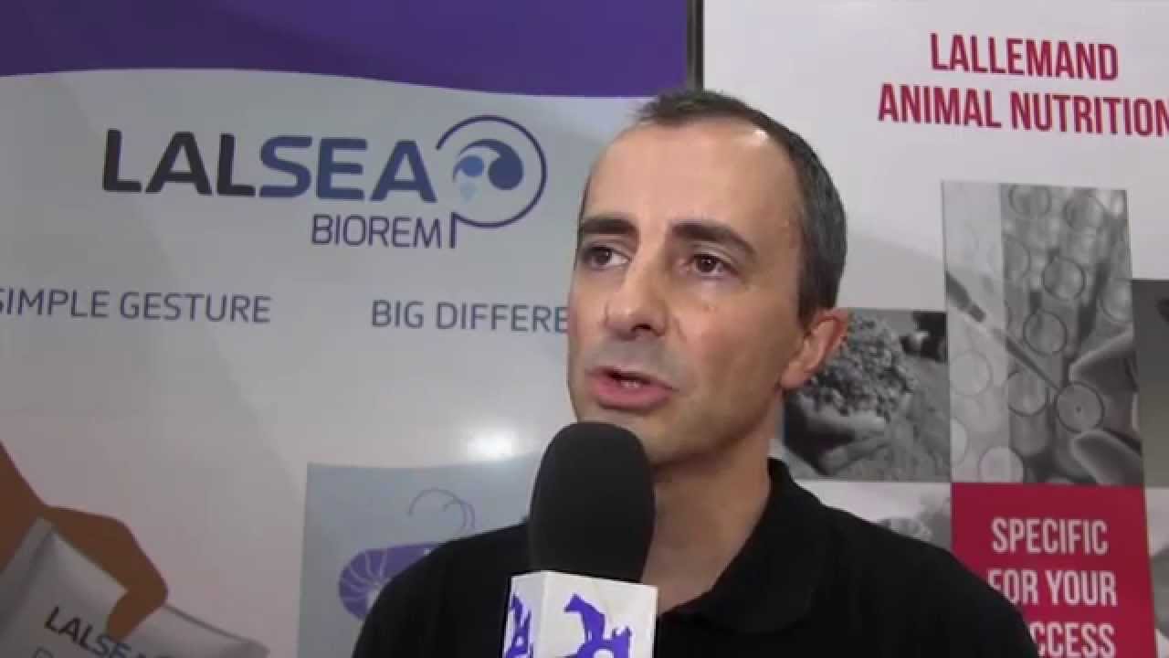 Stephane Ralite, Product Manager at Lallemand Animal Nutrition ...
