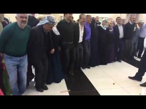 Beritan Aşireti Blurvan Mamoste Zoro Senig Makamı Harika Çalıyor Halayın Güzelliğine Bakın